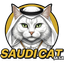 Saudi Cat (KSA) - Saudi Cat price in real time | Beetcoins.com